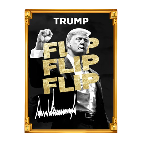 TRUMP Token - FLIP FLIP FLIP | Solana Meme Coin